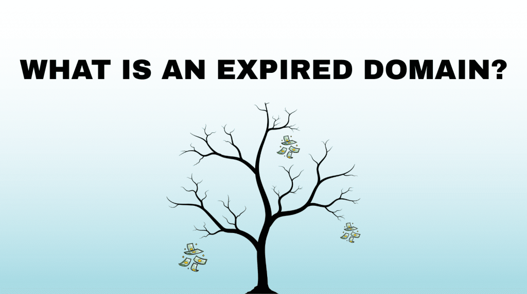 Expired Domain Vs Aged Domain: Everything You Need To Know